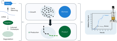 Technology - Dynamic Metabolic Control