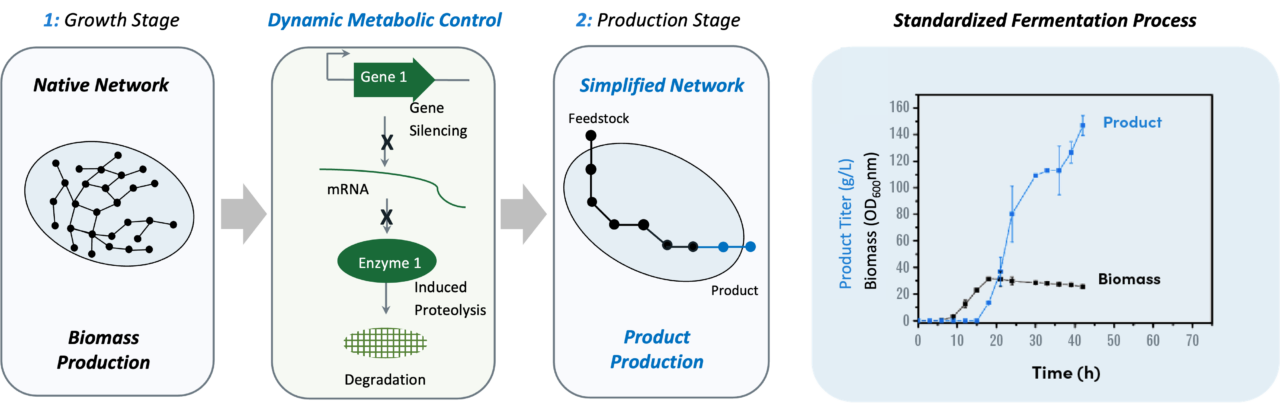 Technology - DMC Biotechnologies